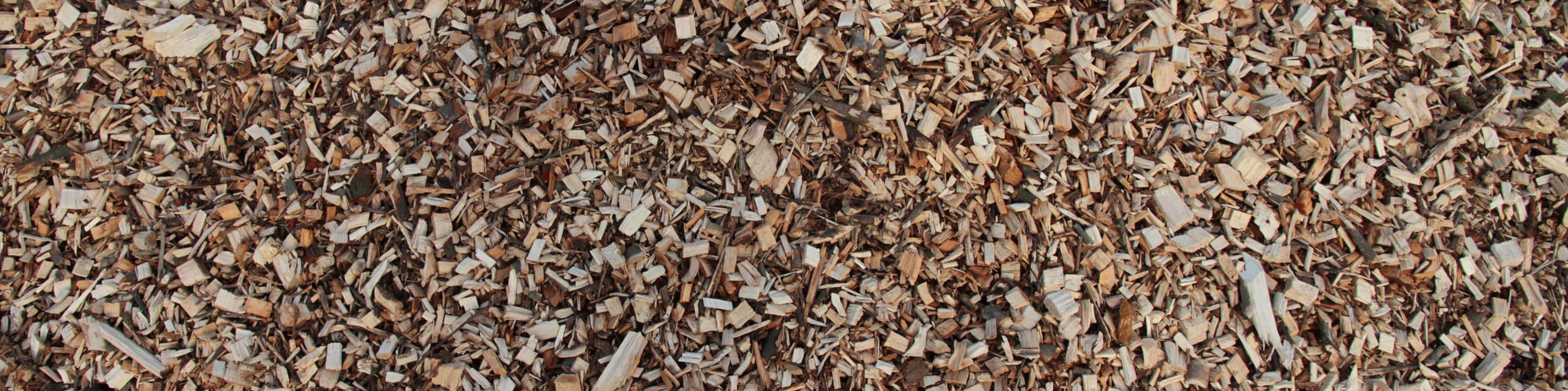 Isolatieplaten van riet, gras en houtsnippers | de Alliantie