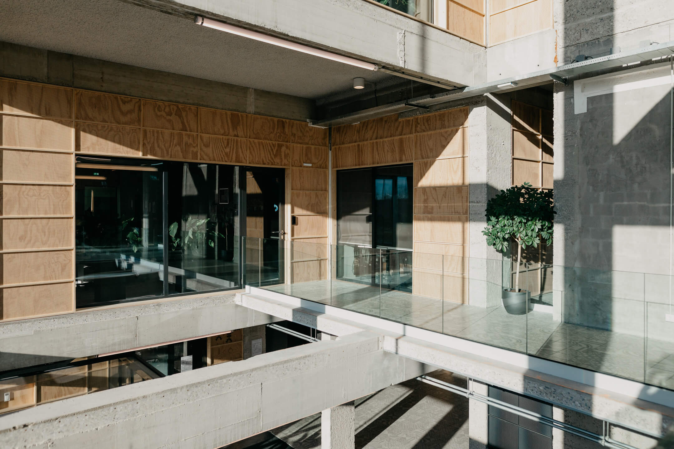 De organisatie | de Alliantie